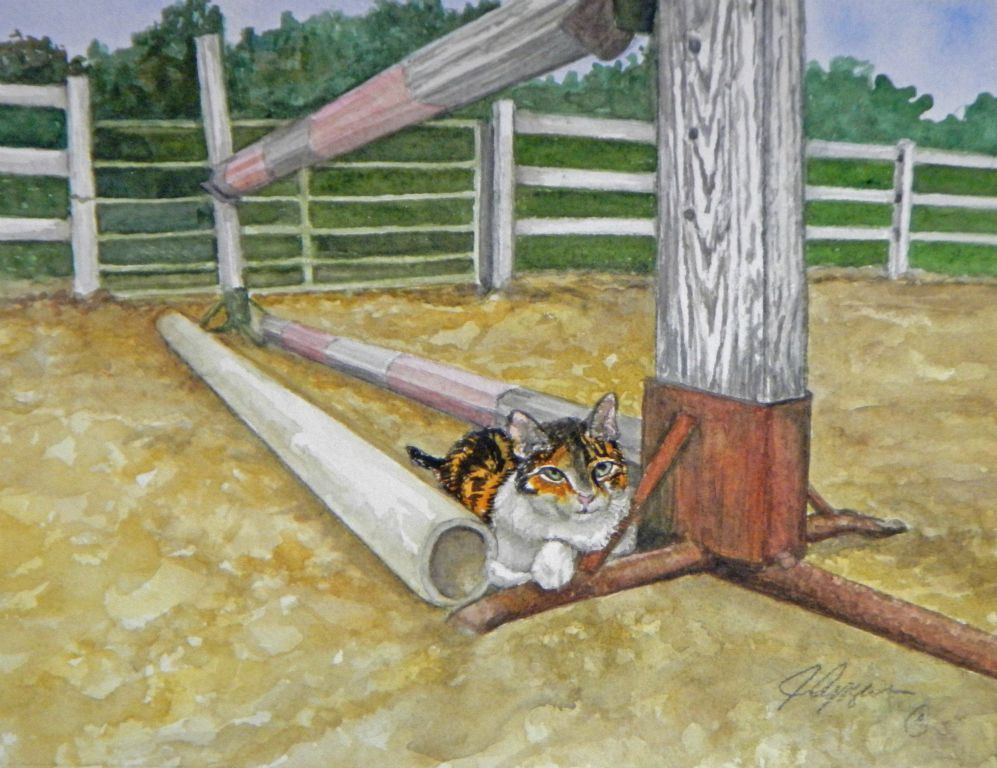 Animal and Wild Life Watercolor Paintings | Artist Jean Apgar