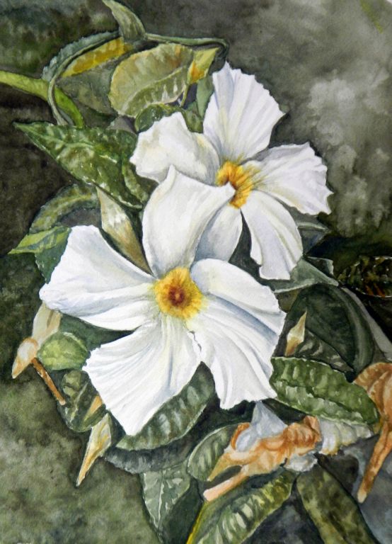 Landscape Watercolor Paintings | Artist Jean Apgar