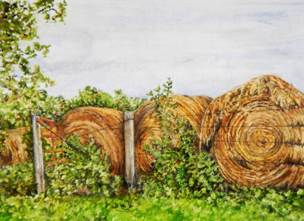 Landscape Watercolor Paintings | Artist Jean Apgar