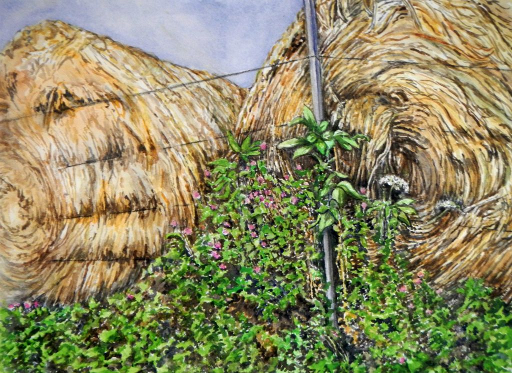 Landscape Watercolor Paintings | Artist Jean Apgar