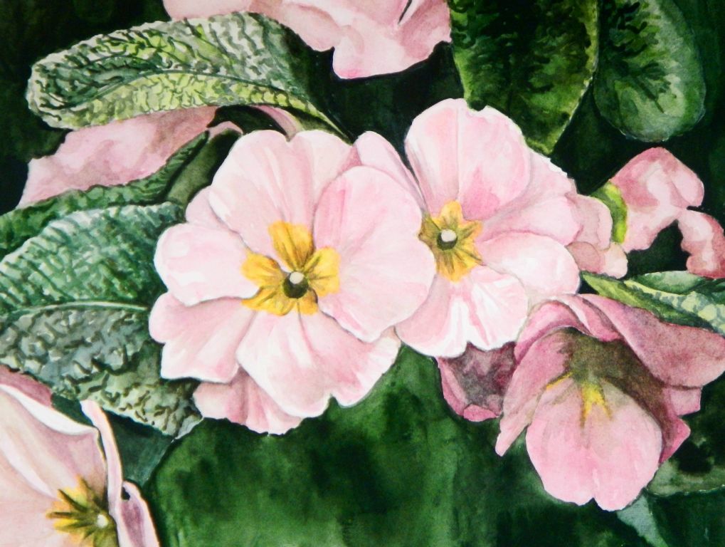 Landscape Watercolor Paintings | Artist Jean Apgar