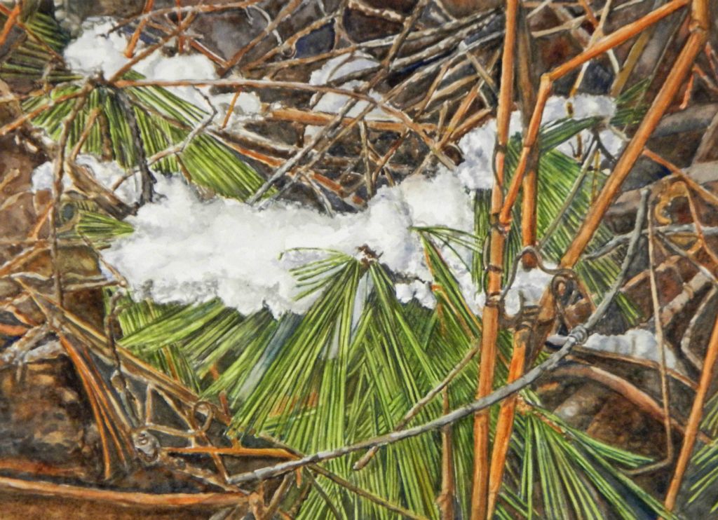 Landscape Watercolor Paintings | Artist Jean Apgar